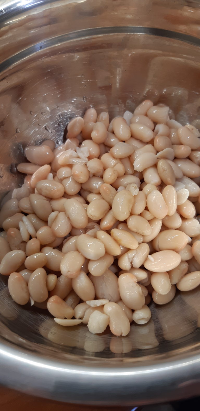 Salade de haricots blancs et rouges .. - ALBAPETRUS